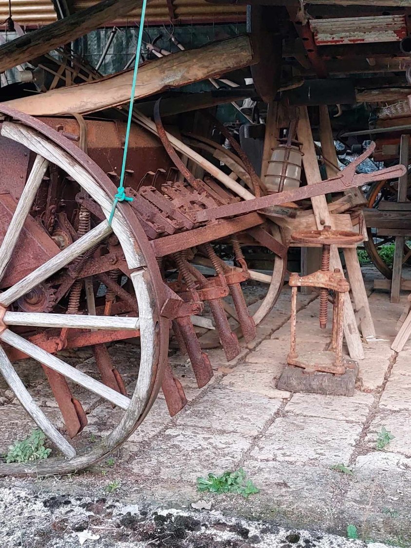 Solve wheel jigsaw puzzle online with 12 pieces