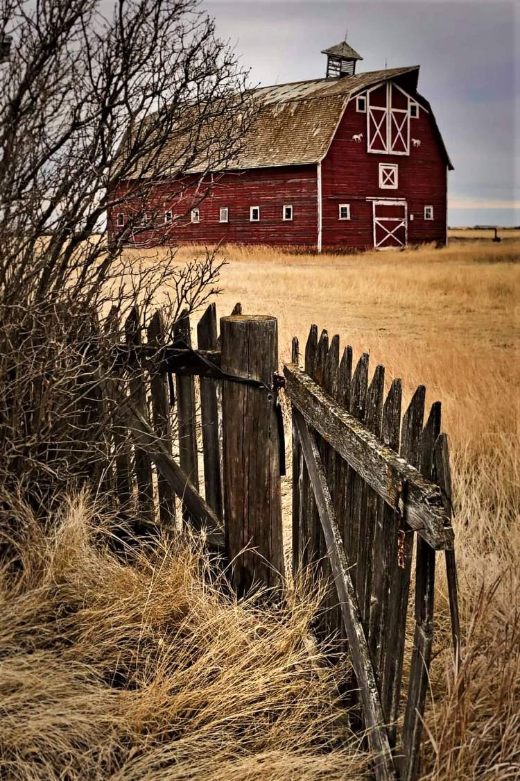 Solve Well used gate jigsaw puzzle online with 40 pieces