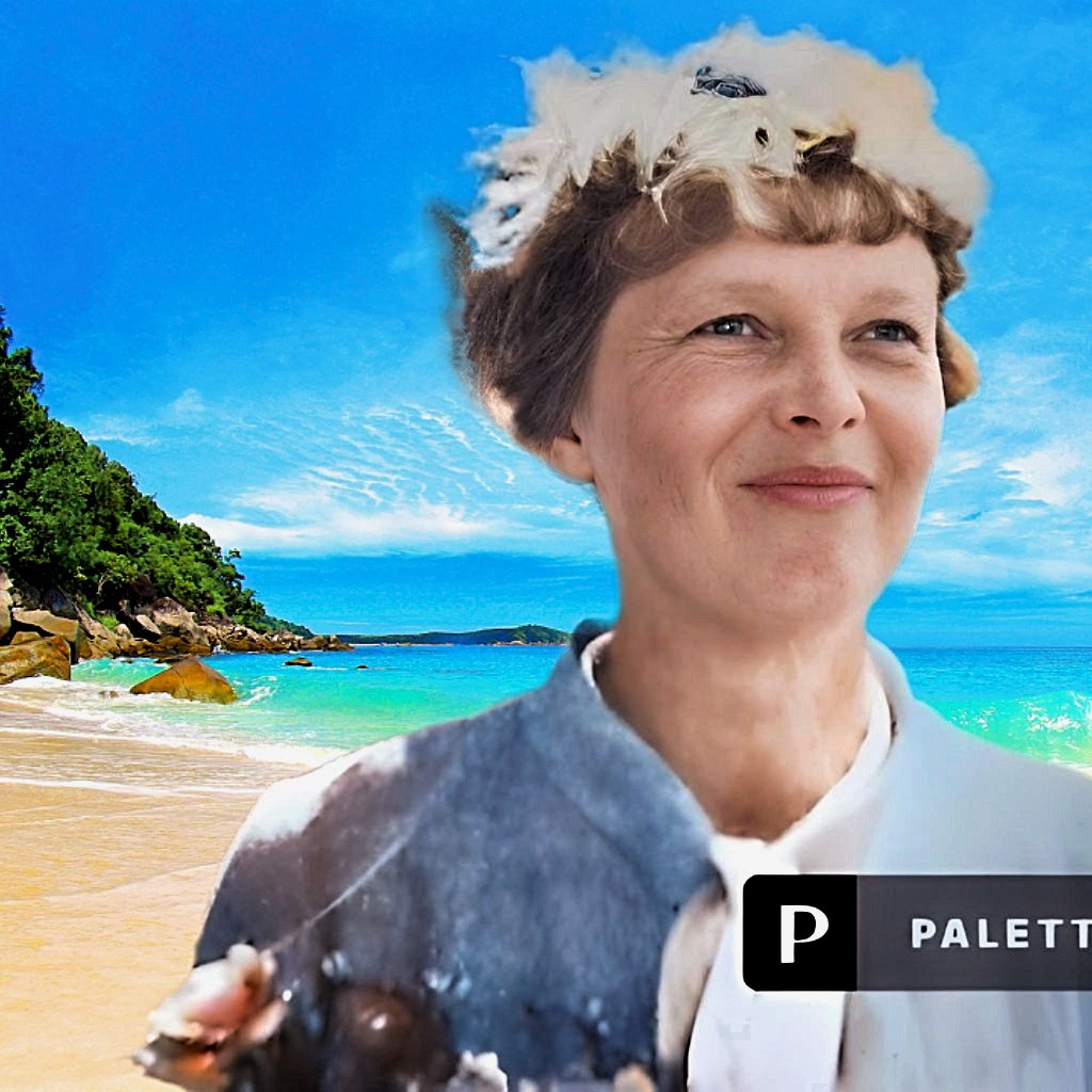 Solve Amelia Earhart. jigsaw puzzle online with 144 pieces