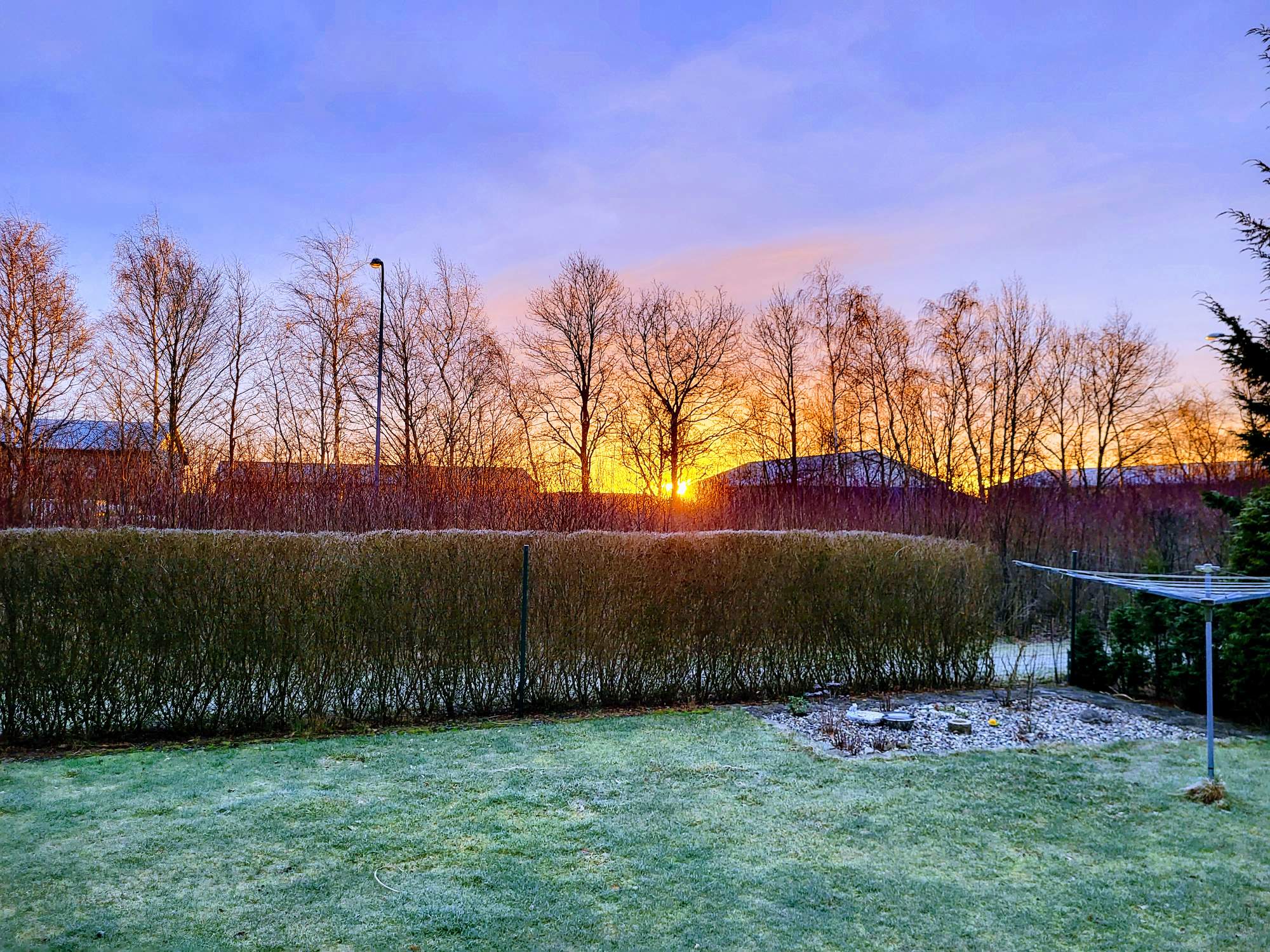 Solve Dawn in February jigsaw puzzle online with 352 pieces