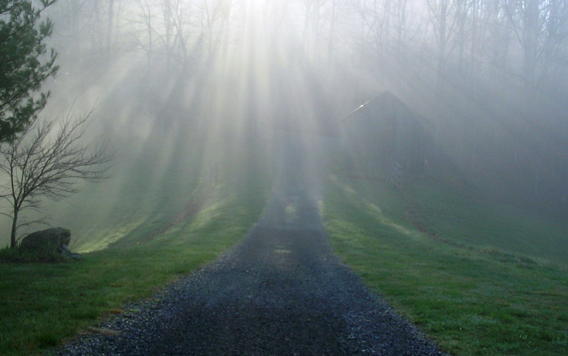 Solve Warm morning rays, going up to feed the beasties. J Brendler ...