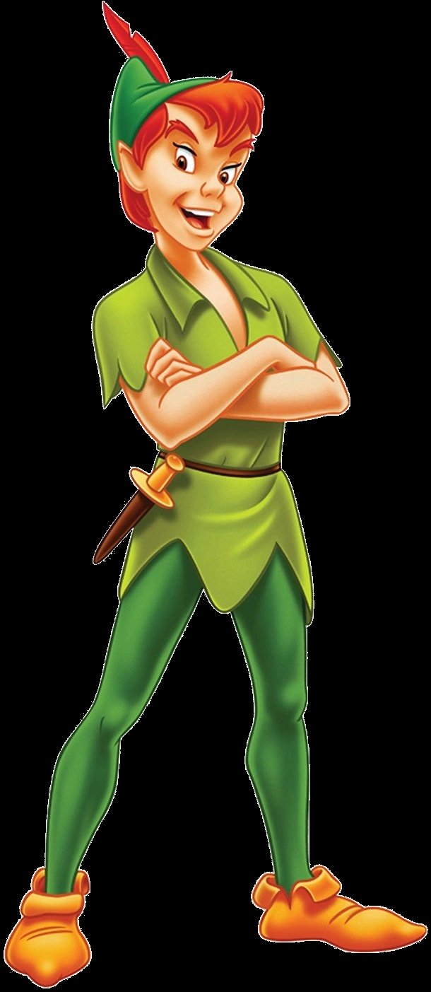 Solve Peter_Pan_ jigsaw puzzle online with 253 pieces