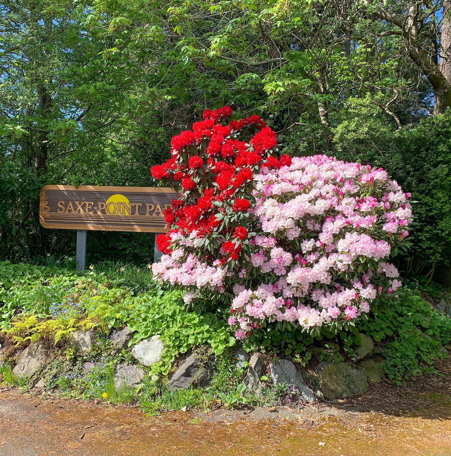 Solve Rhodos at the Saxe Point Park jigsaw puzzle online with 144 pieces