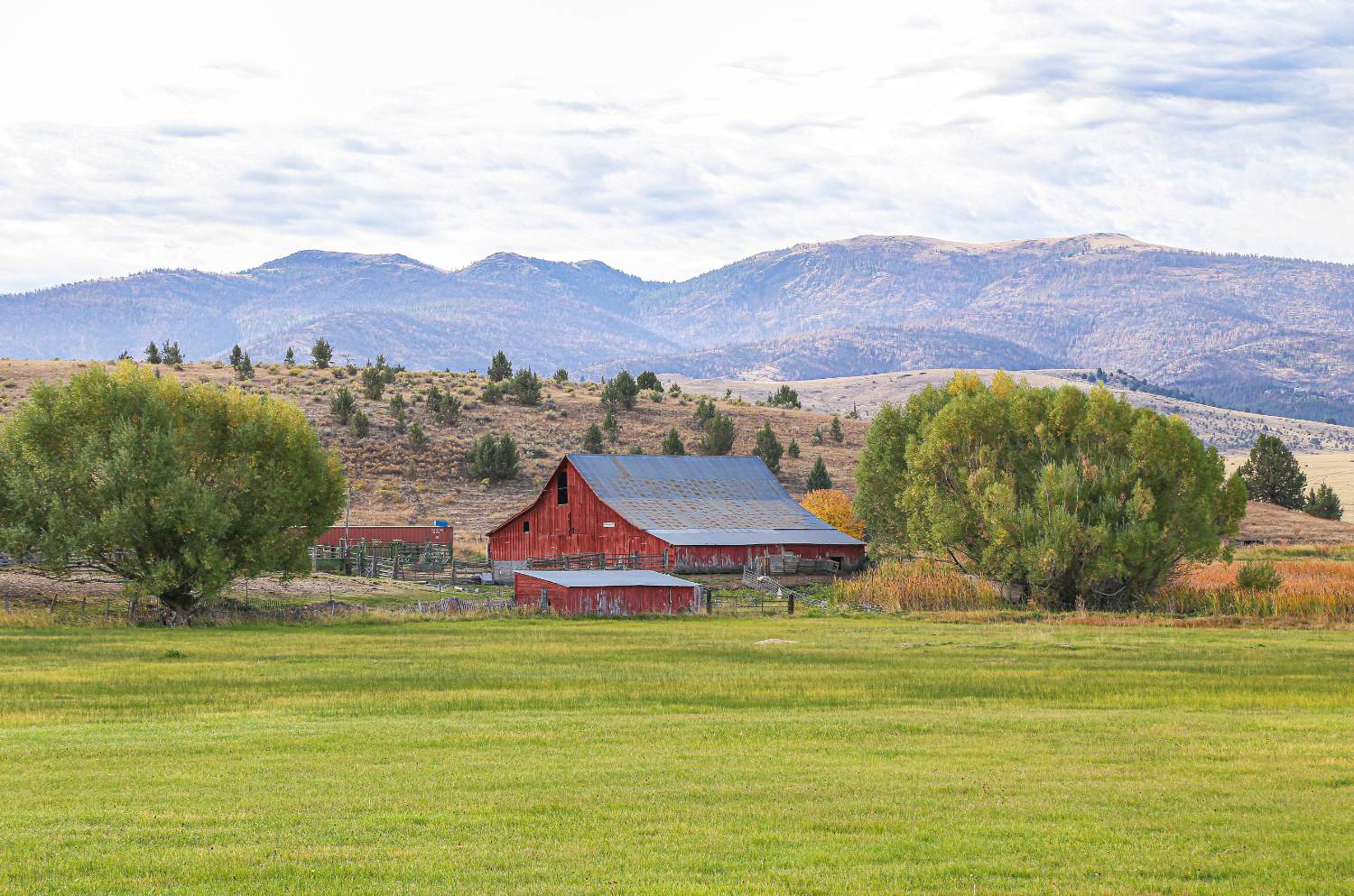 Solve EASTERN OREGON BARN jigsaw puzzle online with 96 pieces