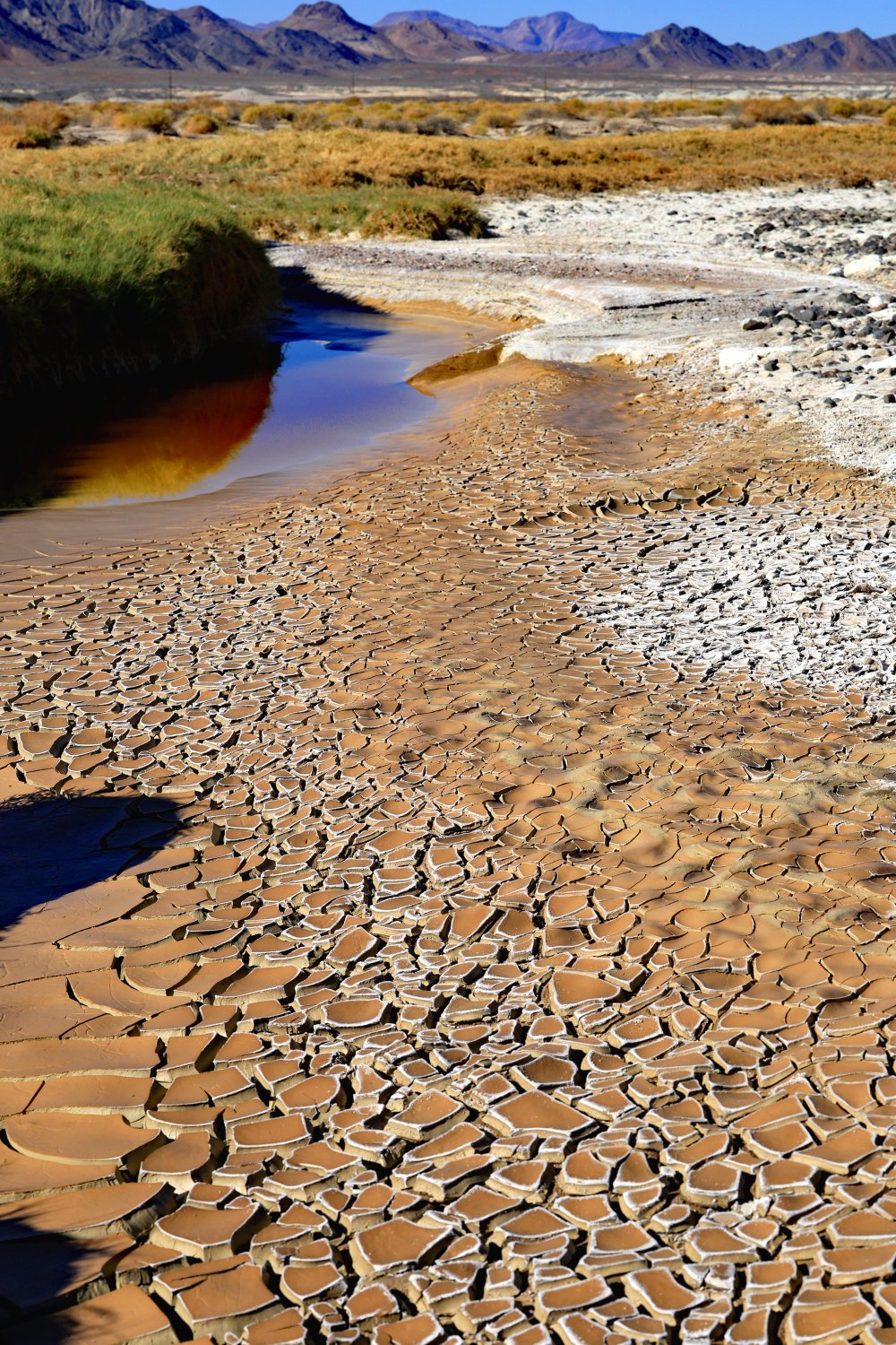 Solve Amargosa River mud polygons jigsaw puzzle online with 40 pieces