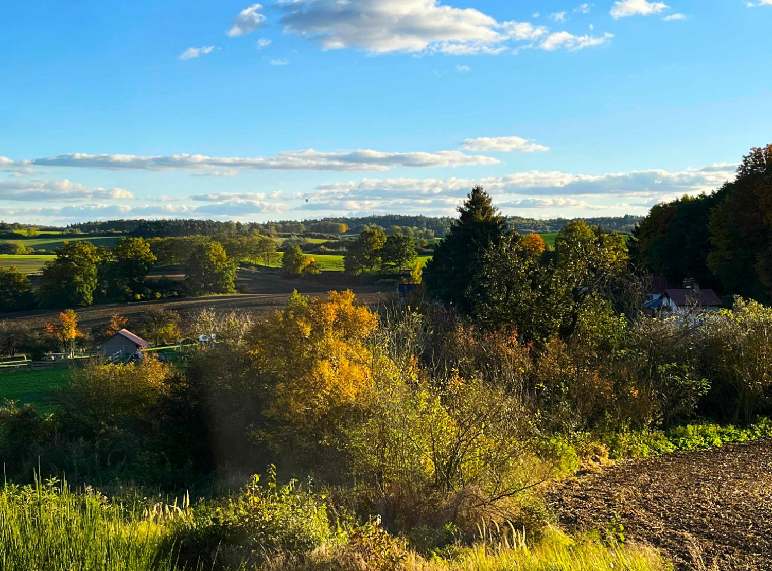 Solve Nature jigsaw puzzle online with 12 pieces