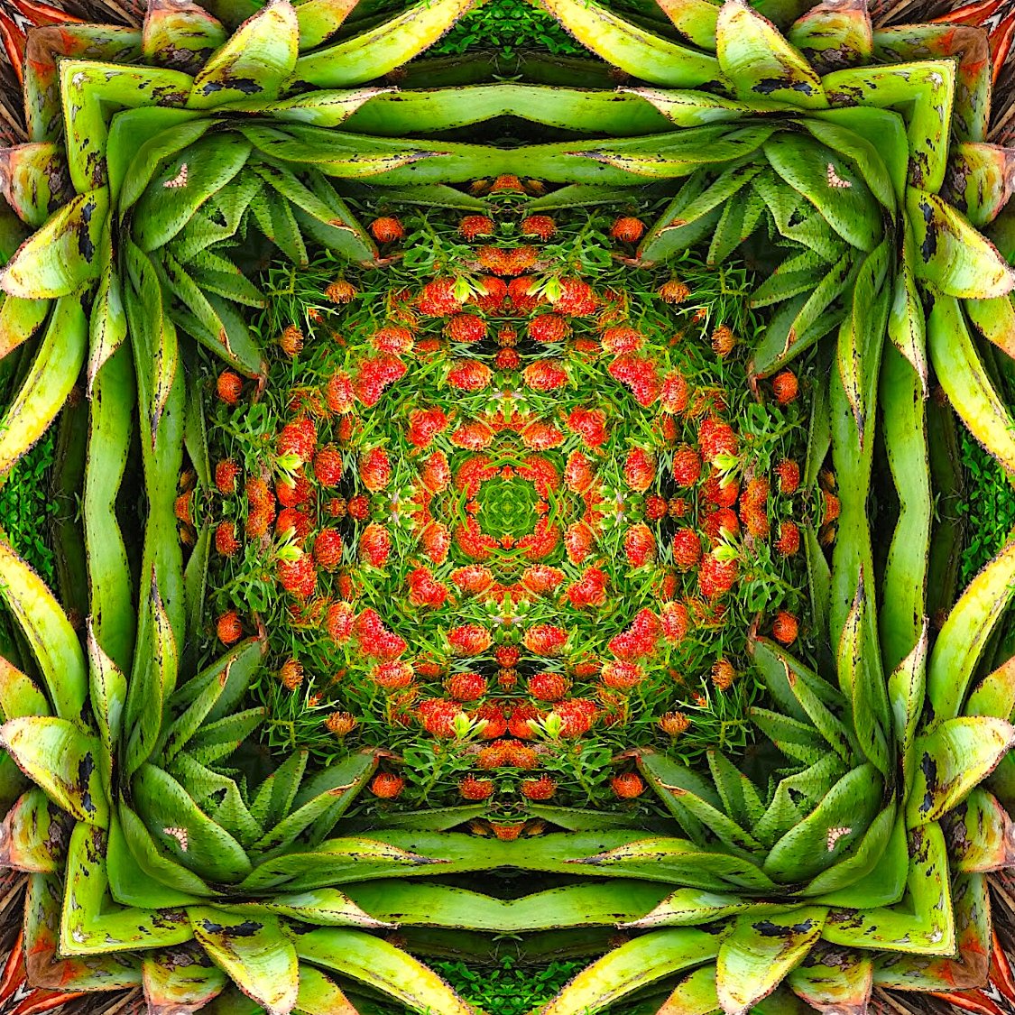 Solve #1 very small jigsaw puzzle online with 25 pieces