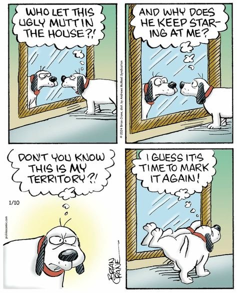 Solve Pickles 488 jigsaw puzzle online with 12 pieces