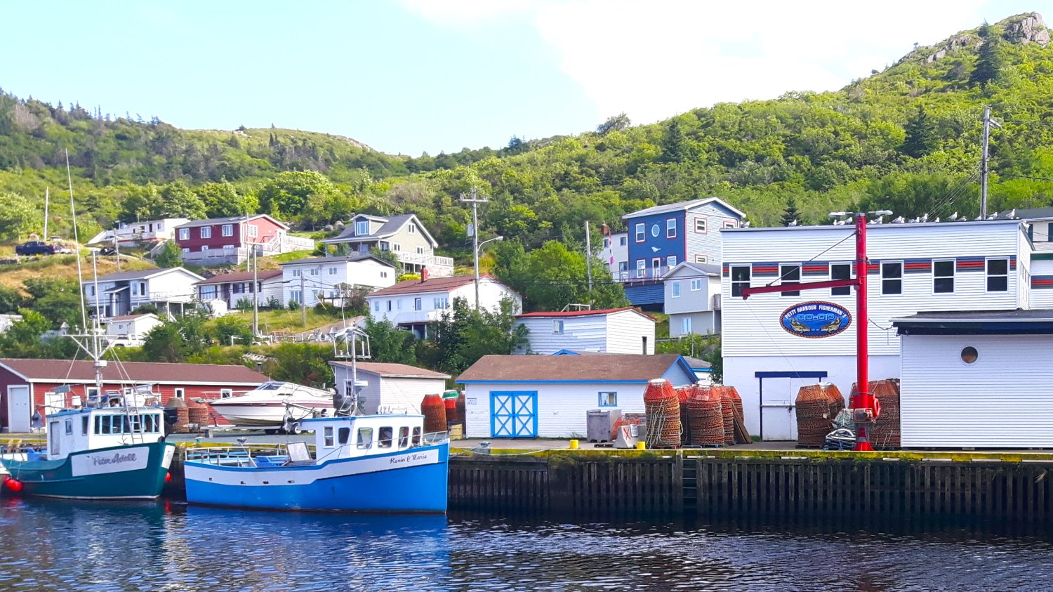Solve Petty Harbour NL jigsaw puzzle online with 15 pieces