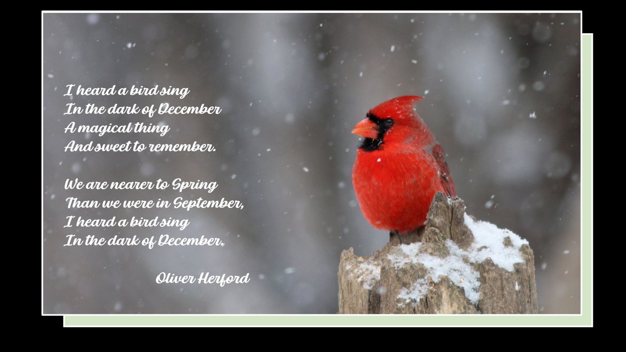 Solve I heard a bird sing jigsaw puzzle online with 15 pieces