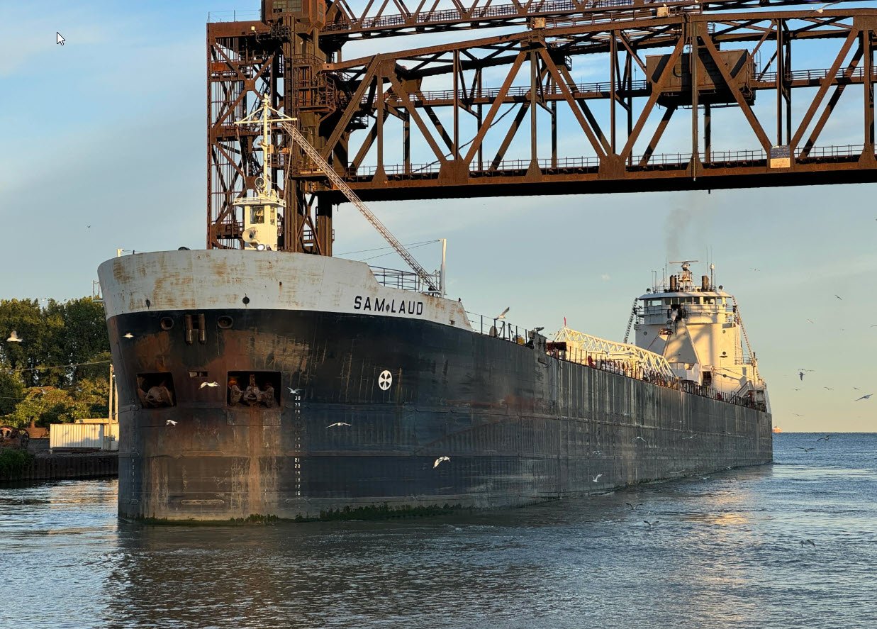 Jigsaw Puzzle | 54 pieces | Sam Laud | Jigidi