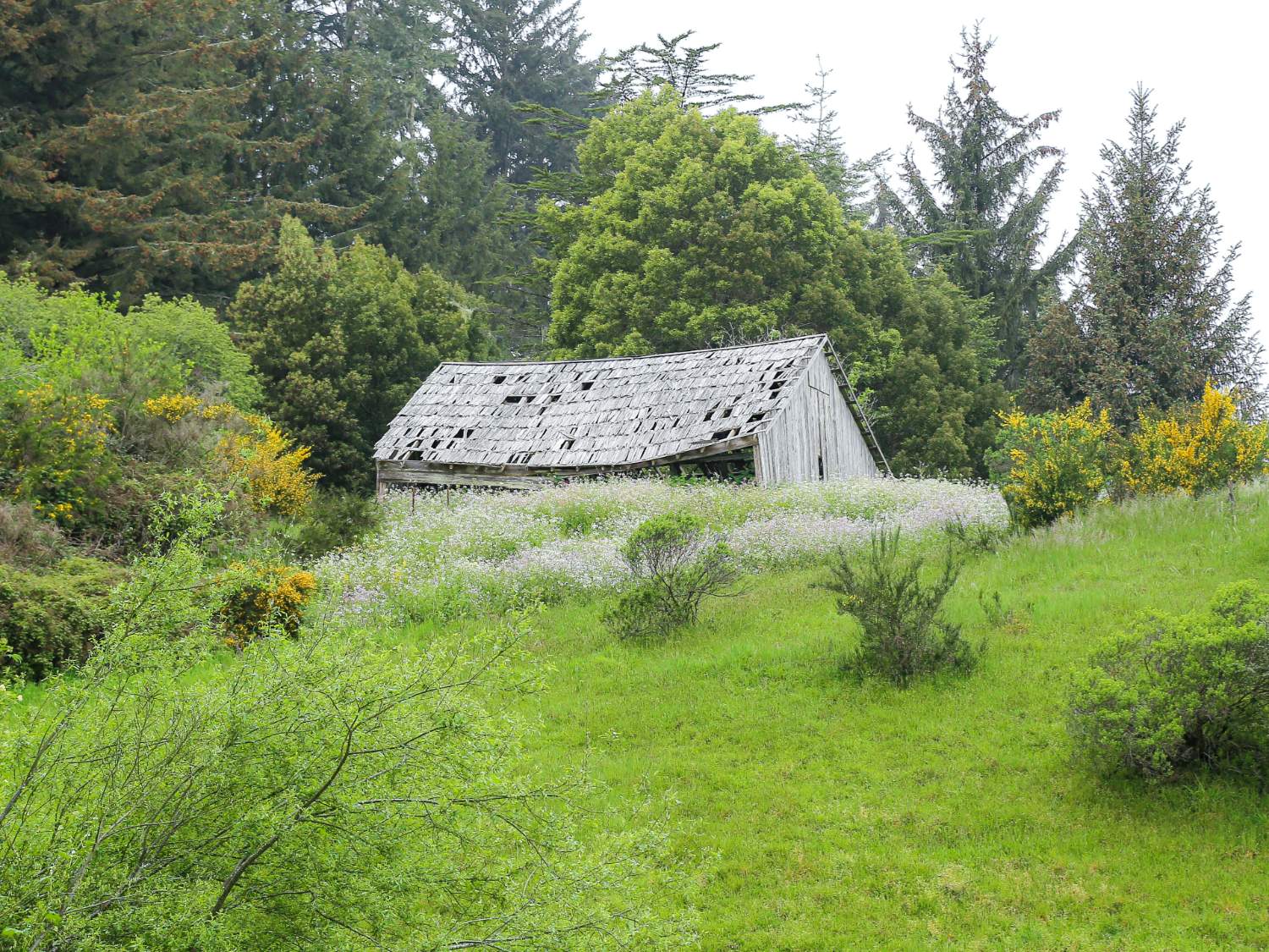 Solve SWAY-BACKED BARN jigsaw puzzle online with 88 pieces