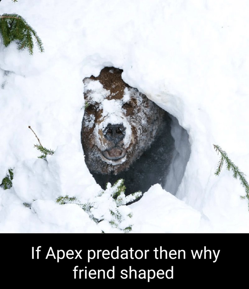 Solve If not friend, why friend shaped? jigsaw puzzle online with 9 pieces