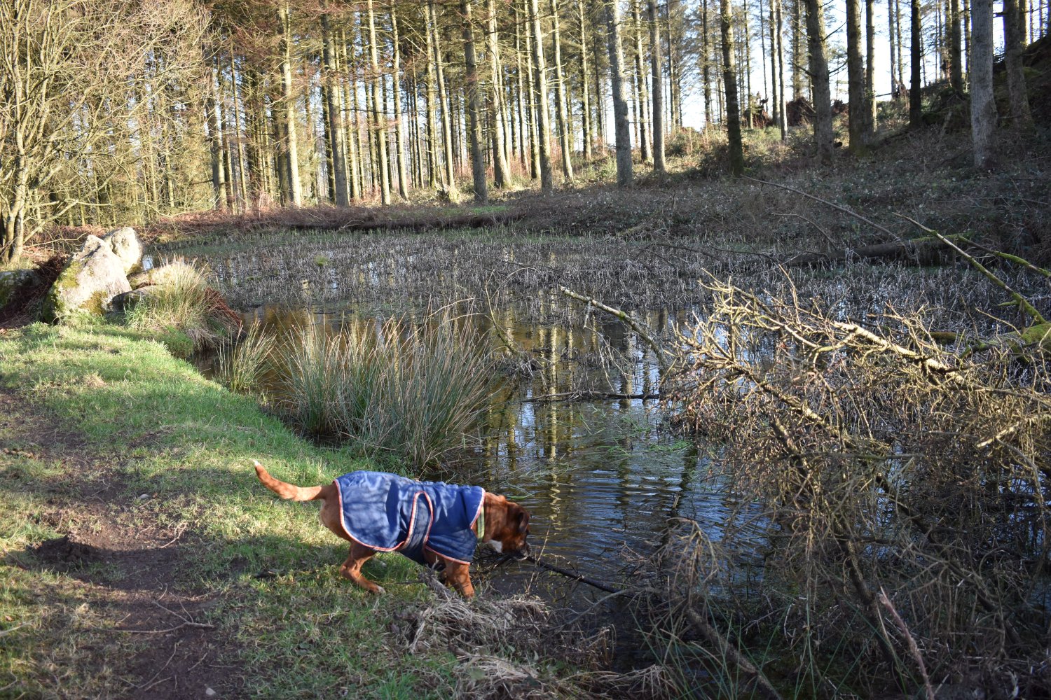 Puzzle | 12 pièces | Hang on while I pull this 10 foot long stick out ...