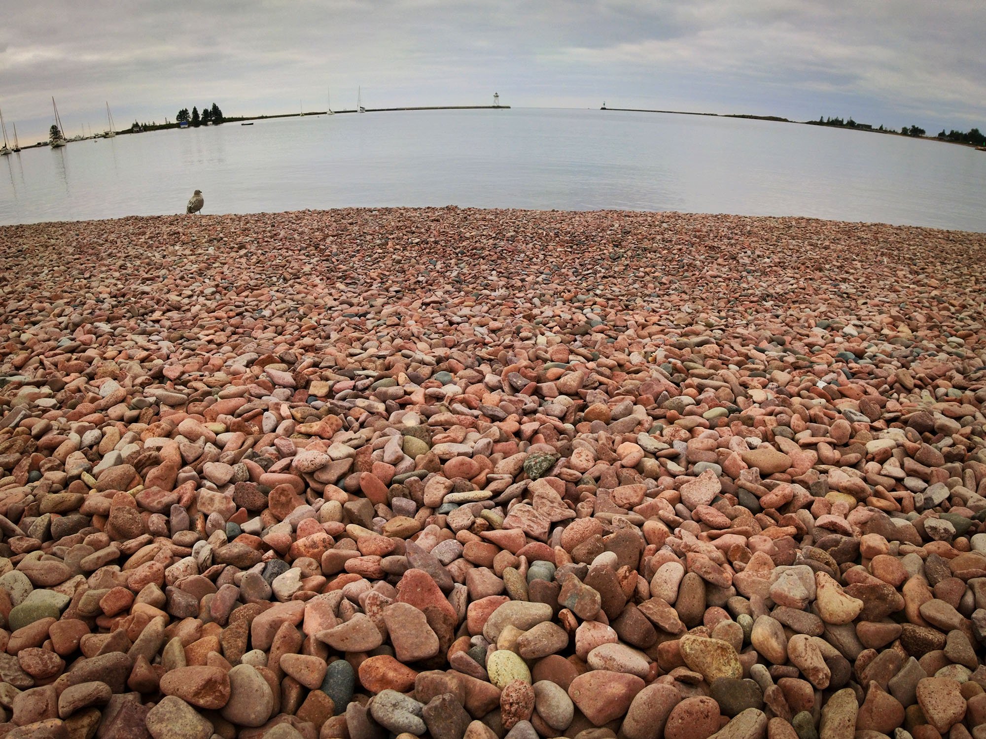Solve Pebble Beach jigsaw puzzle online with 99 pieces