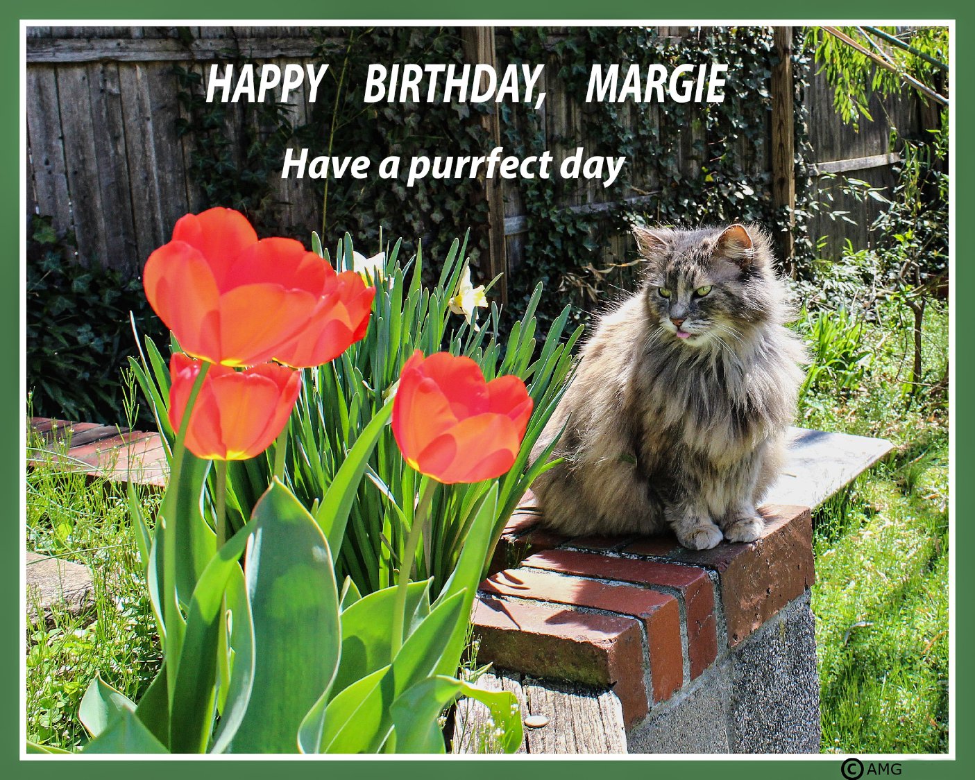 Solve Happy Birthday, Margie (Kitty Counselor) jigsaw puzzle online ...