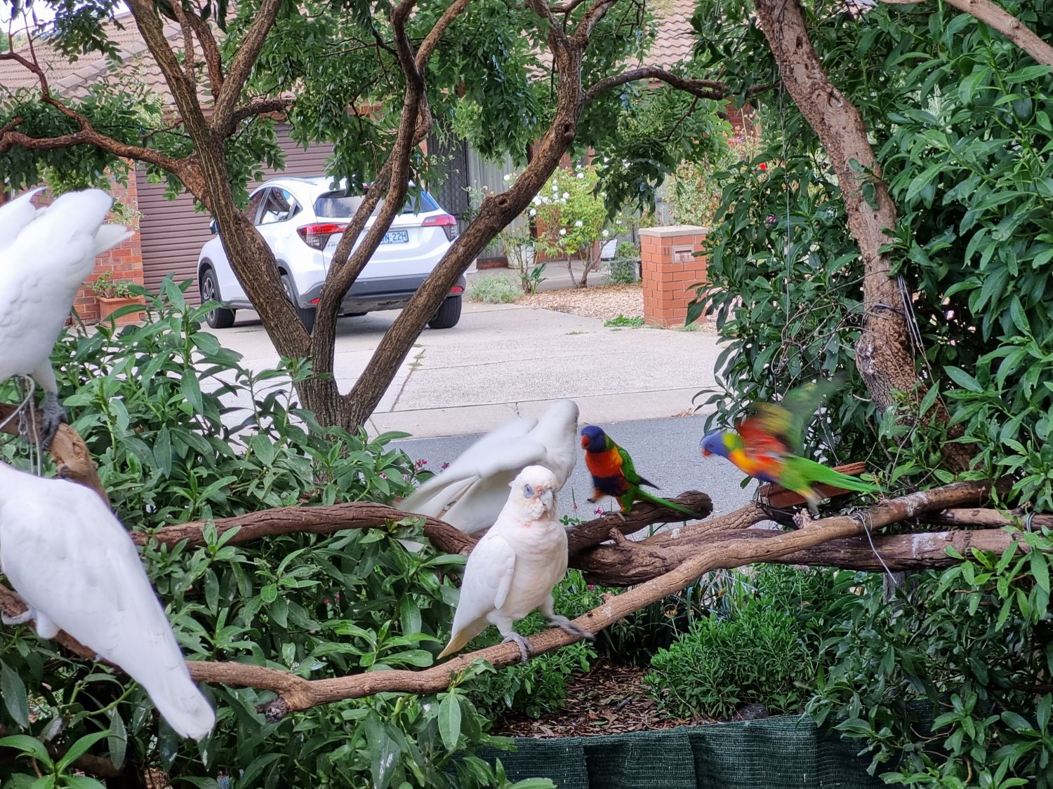 Solve Attack! jigsaw puzzle online with 30 pieces