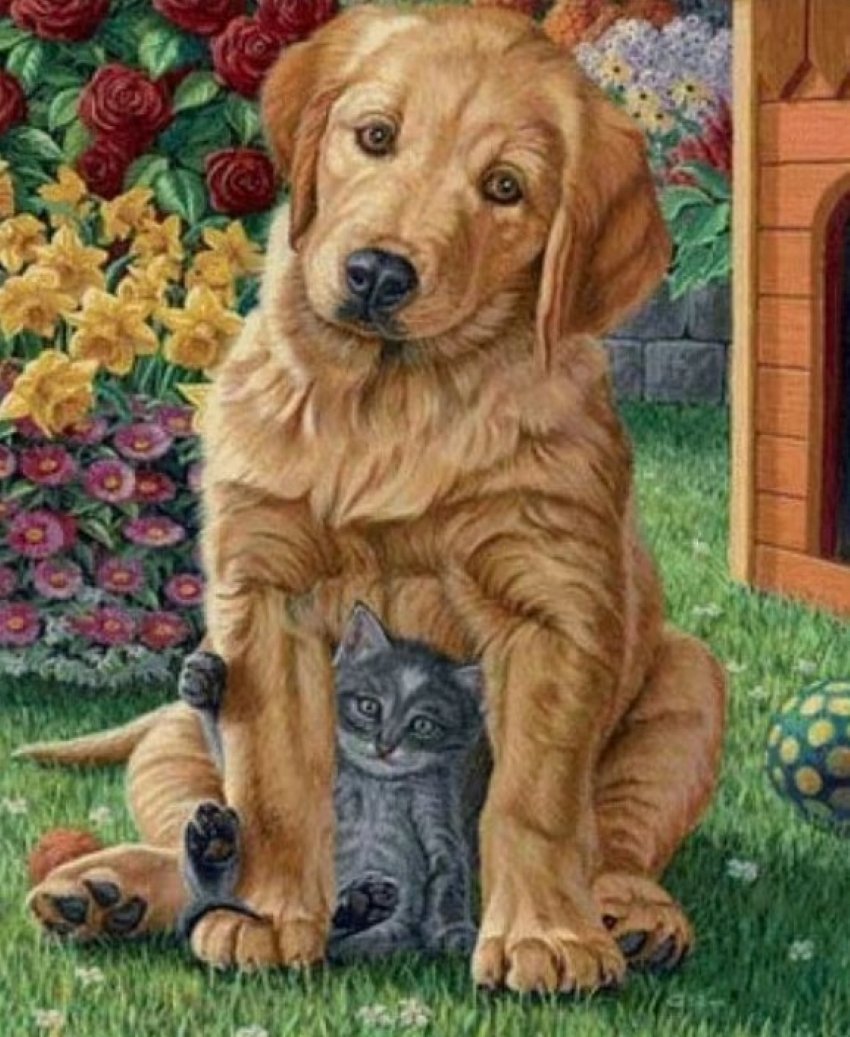 Solve dog jigsaw puzzle online with 255 pieces