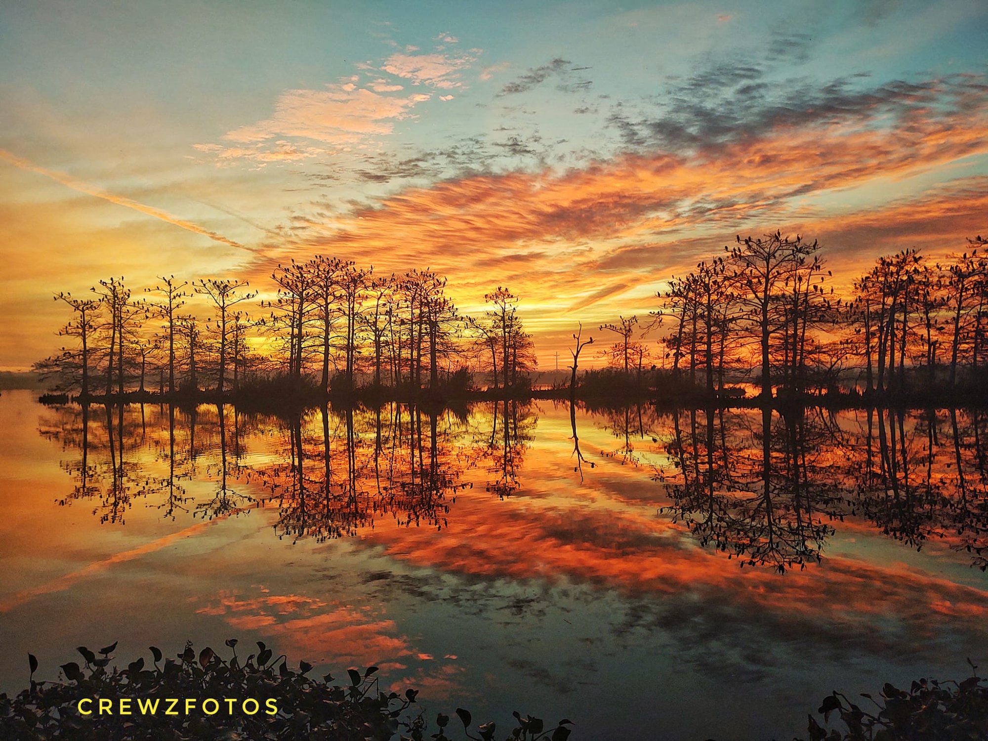 Solve Dawn ~ Southwest Louisiana jigsaw puzzle online with 108 pieces