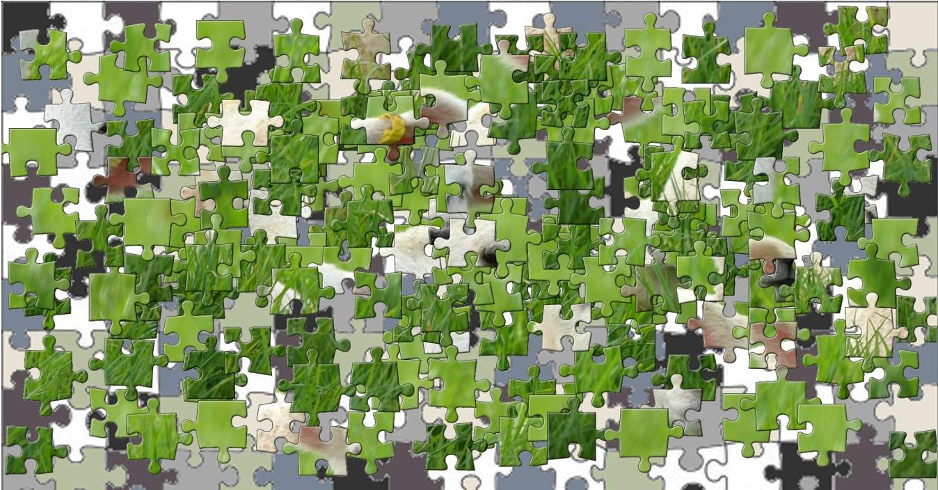 Solve Puzzle 1 jigsaw puzzle online with 231 pieces