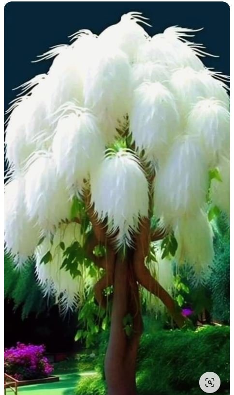 Solve trees we'd like to see in real life jigsaw puzzle online with 40 ...