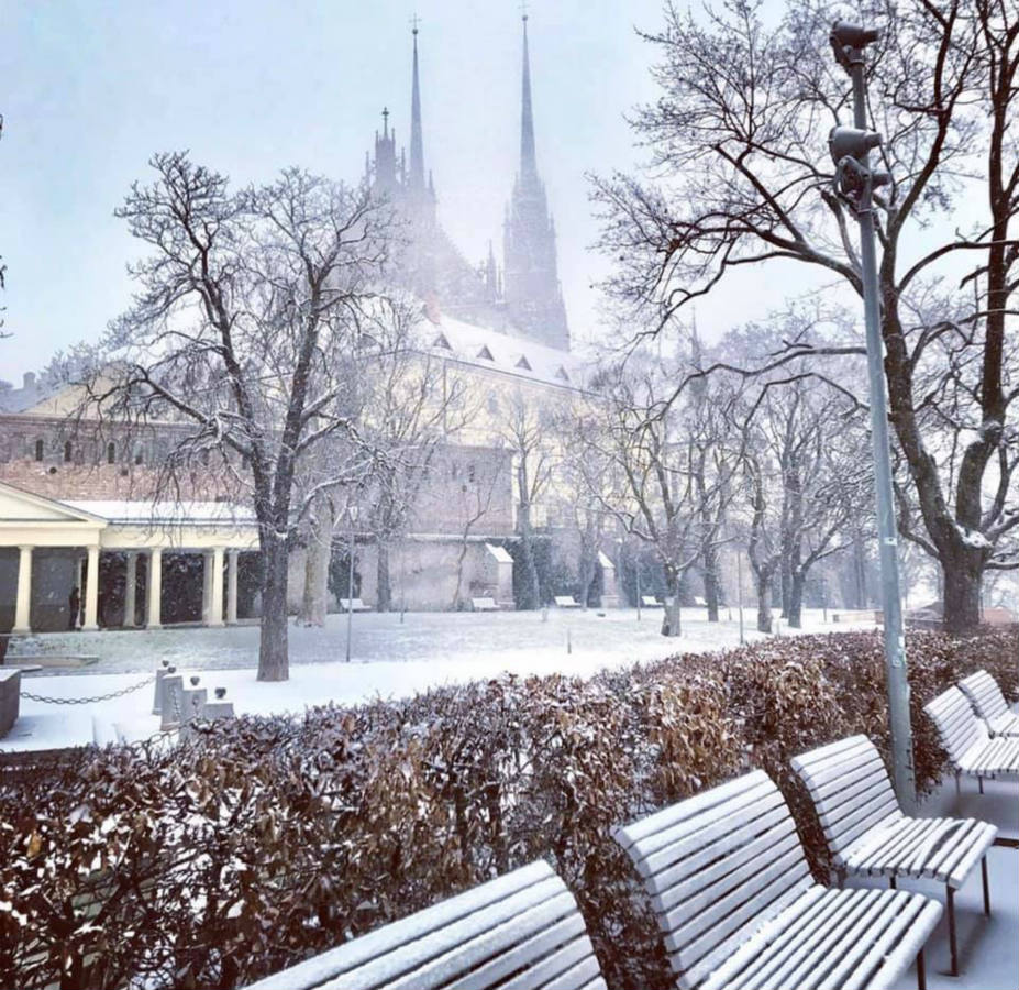 Solve Zimní Brno - Winter Brno jigsaw puzzle online with 81 pieces Solve Zimní Brno - Winter Brno jigsaw puzzle online with 81 pieces