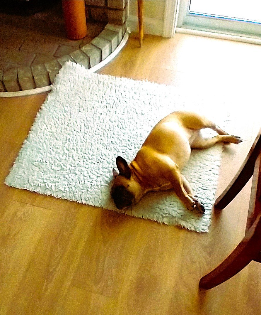 Solve JUICE CAME TO VISIT - 4 OF 4 jigsaw puzzle online with 12 pieces