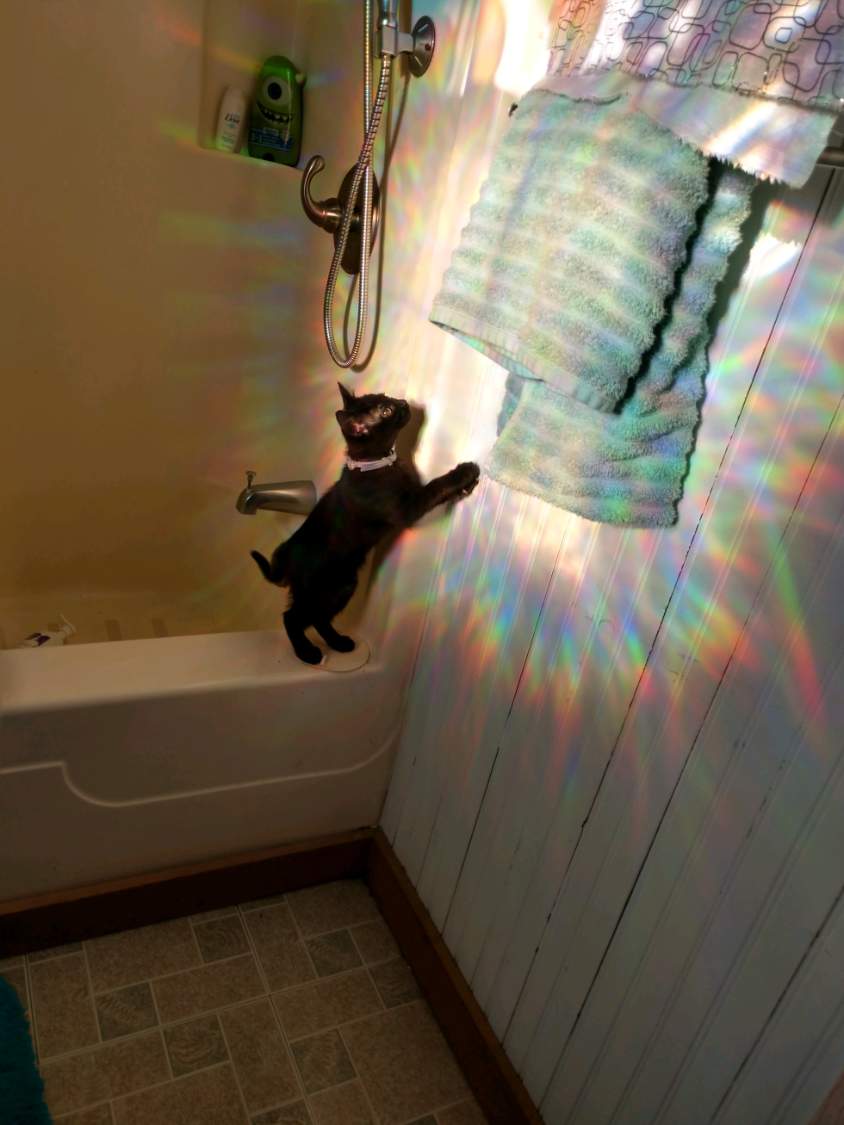 Solve Chasing rainbows jigsaw puzzle online with 35 pieces