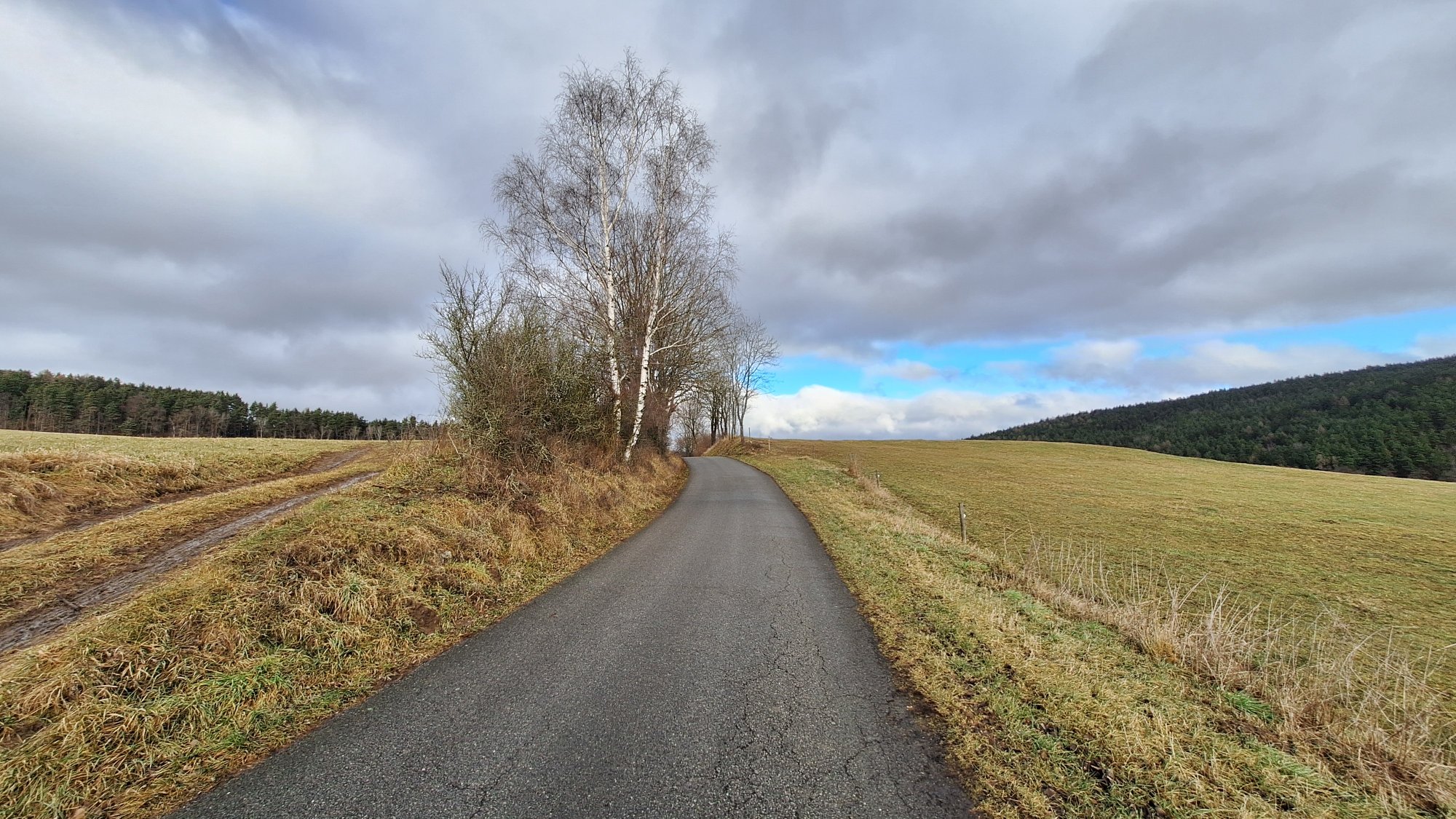 Solve Cesta - Way jigsaw puzzle online with 60 pieces