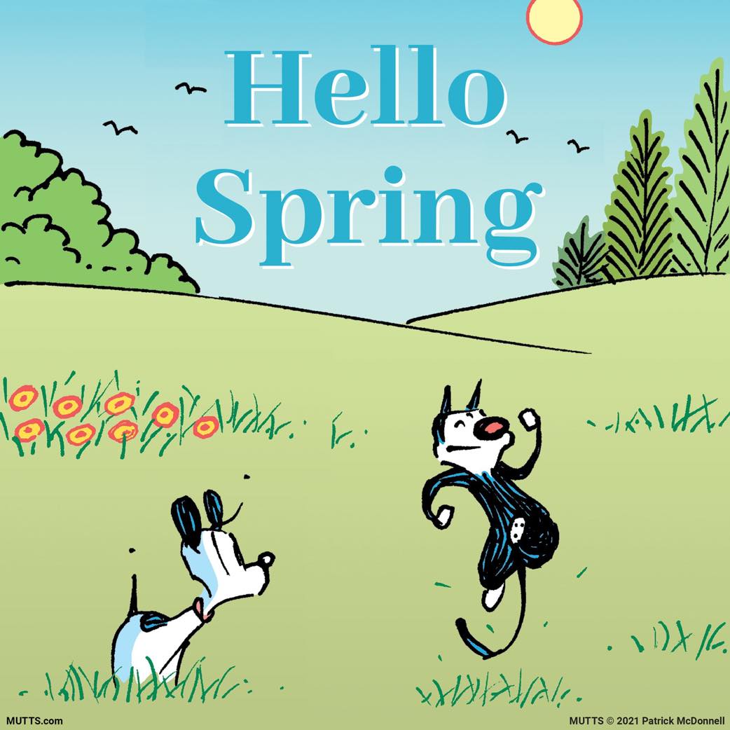 Solve Spring has sprung! jigsaw puzzle online with 25 pieces