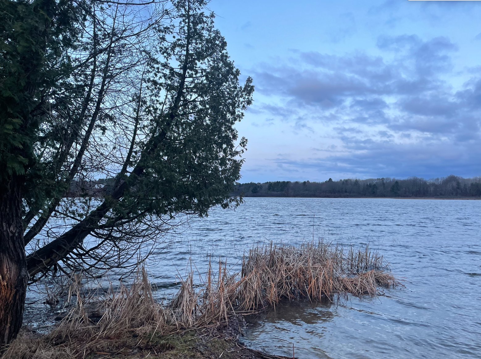 Solve Townline Lake jigsaw puzzle online with 99 pieces