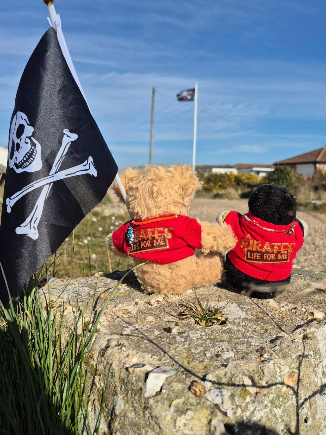 Solve Pirates! jigsaw puzzle online with 88 pieces