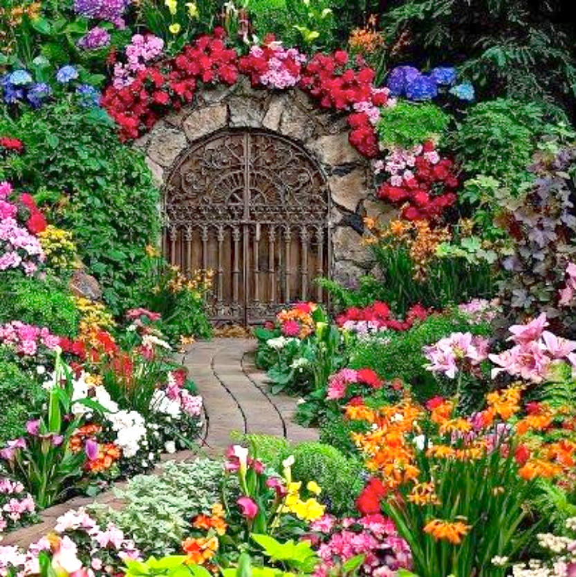 Solve A beautiful flower garden!! jigsaw puzzle online with 121 pieces
