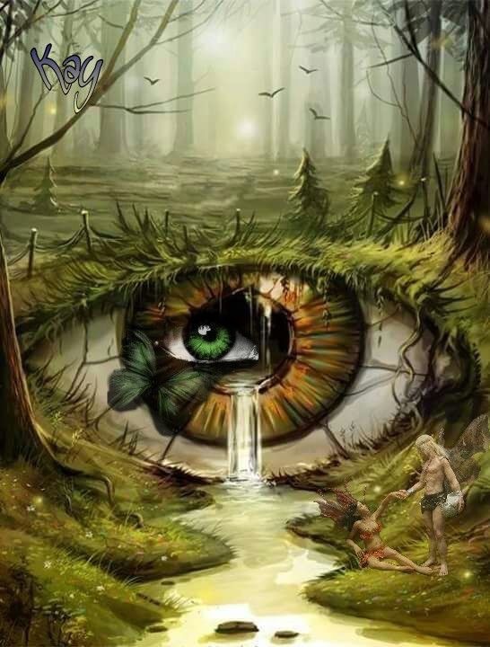 Solve See forest 2 jigsaw puzzle online with 108 pieces