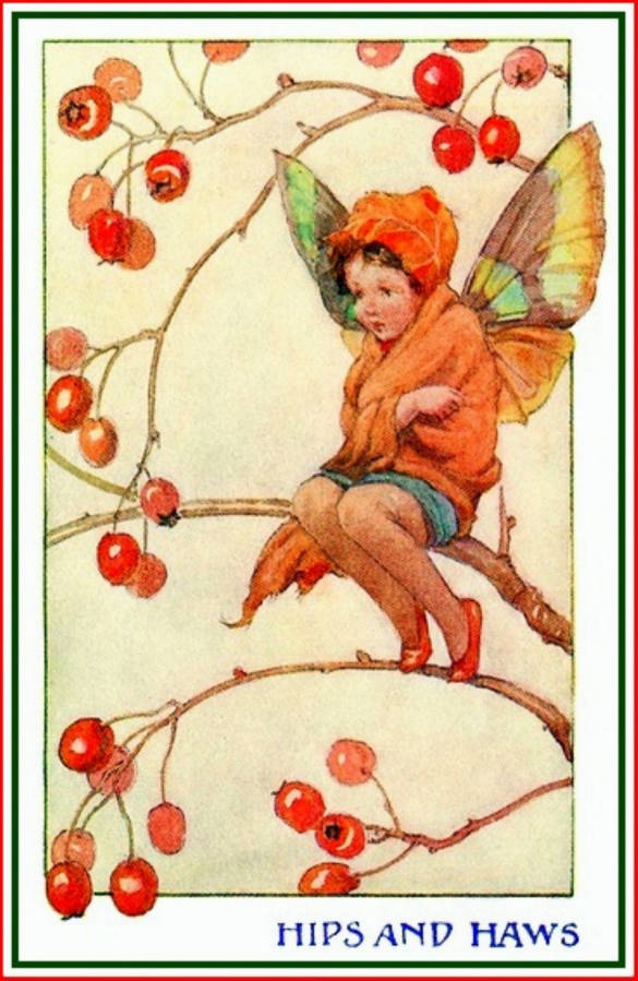 Solve Hips and Haws (mini) jigsaw puzzle online with 35 pieces