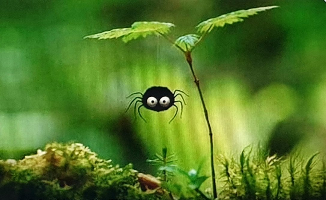 Solve MINUSCULE ~ The Stubborn Spider jigsaw puzzle online with 28 pieces