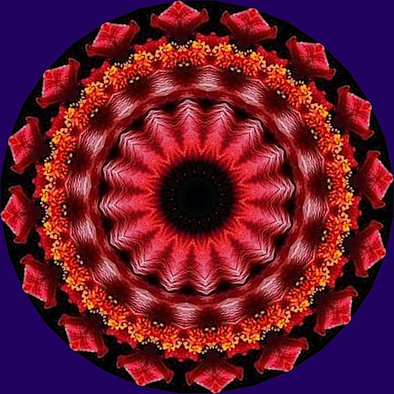 Solve #1 small jigsaw puzzle online with 64 pieces