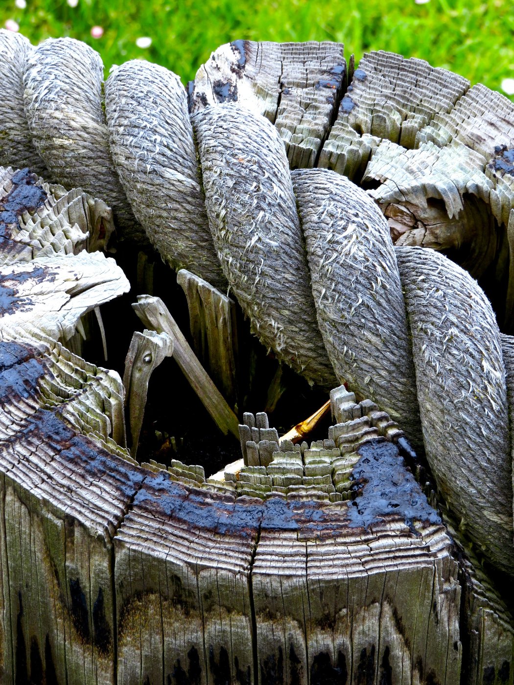 Solve Rope and Post, Oregon Coast jigsaw puzzle online with 35 pieces