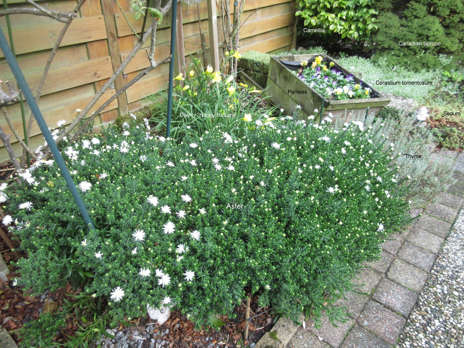 Solve Mid section on the left side of the back garden. jigsaw puzzle ...