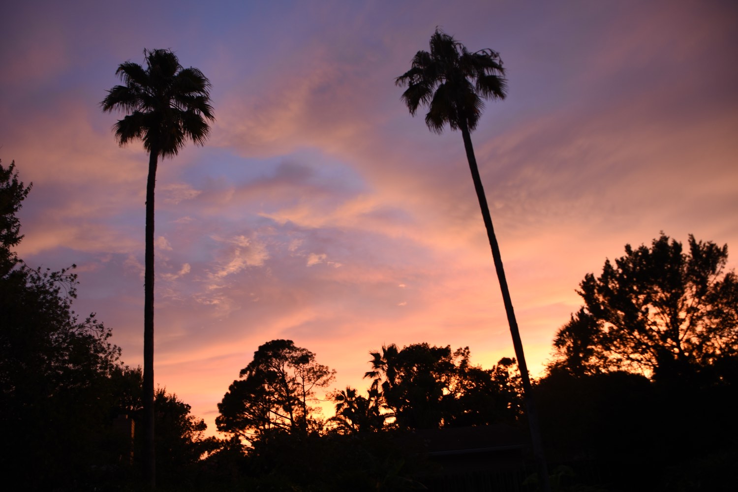 Solve Florida sky jigsaw puzzle online with 12 pieces