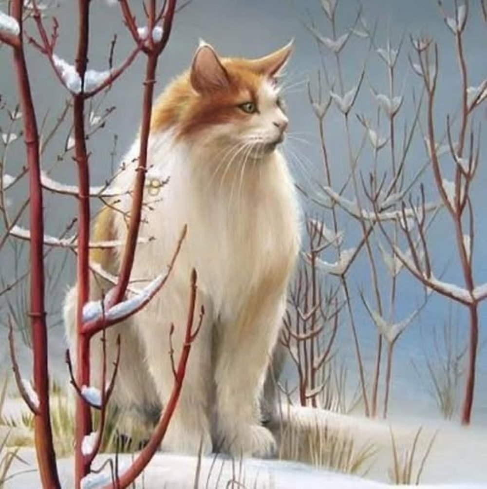 Solve puzzle jigsaw puzzle online with 256 pieces