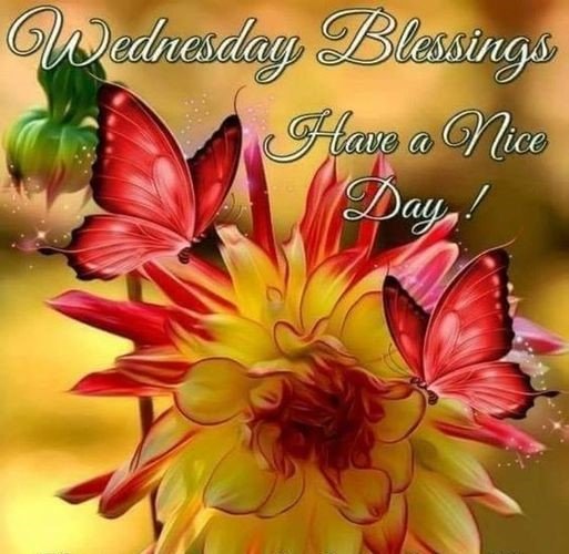 Solve Good Morning - Wednesday Blessings! jigsaw puzzle online with 64 ...