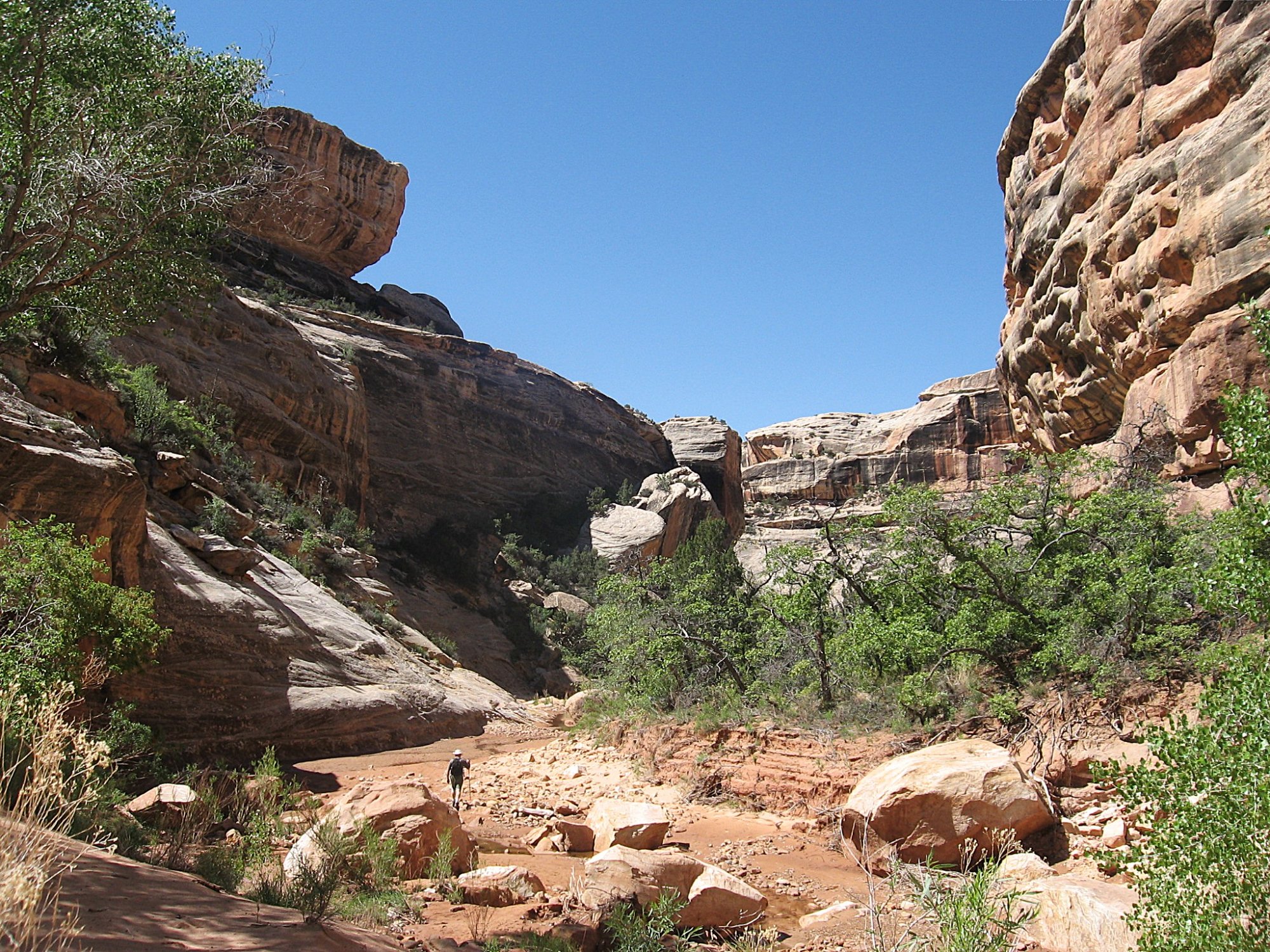 Solve Natural Bridges National Monument, Utah jigsaw puzzle online with ...