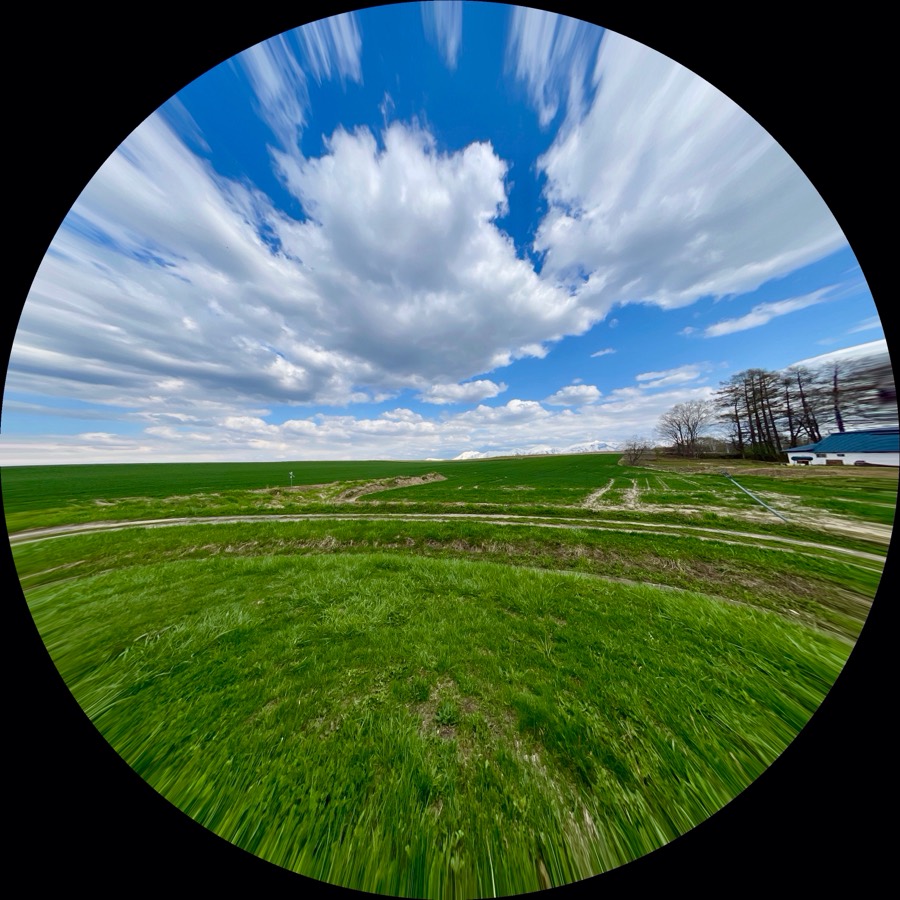 Solve A Different Perspective jigsaw puzzle online with 36 pieces