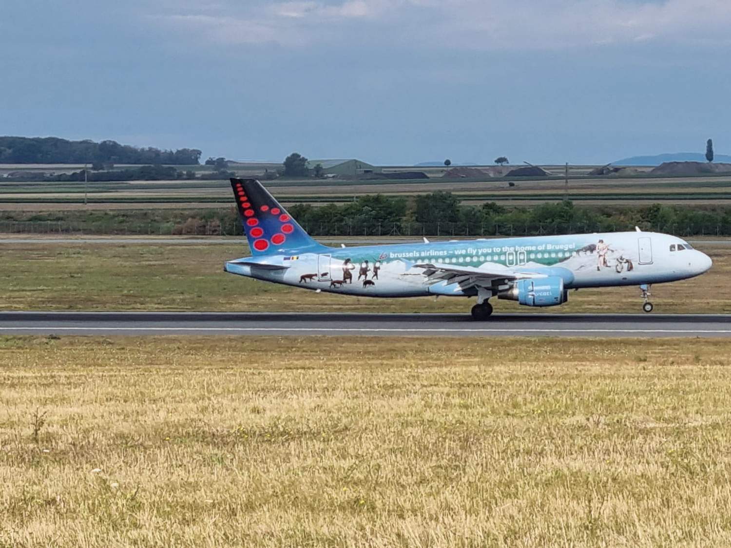 Solve Airbus A320 Belgian Icons Livery Brussels Airlines jigsaw puzzle ...