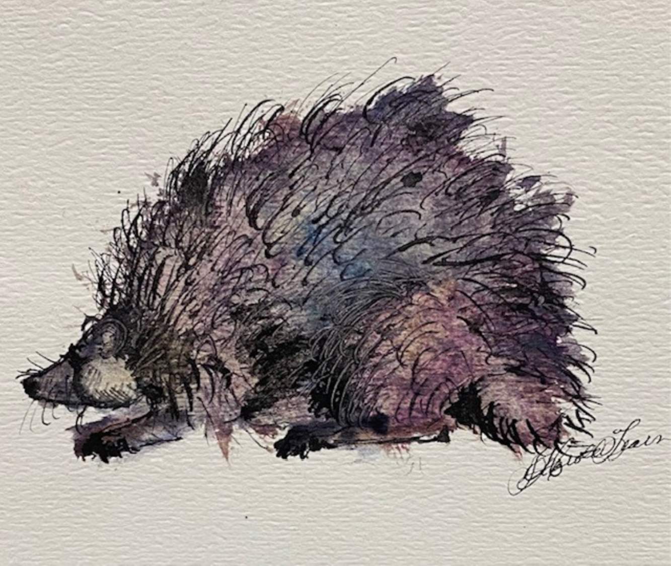 Solve Porcupine (larger) jigsaw puzzle online with 80 pieces