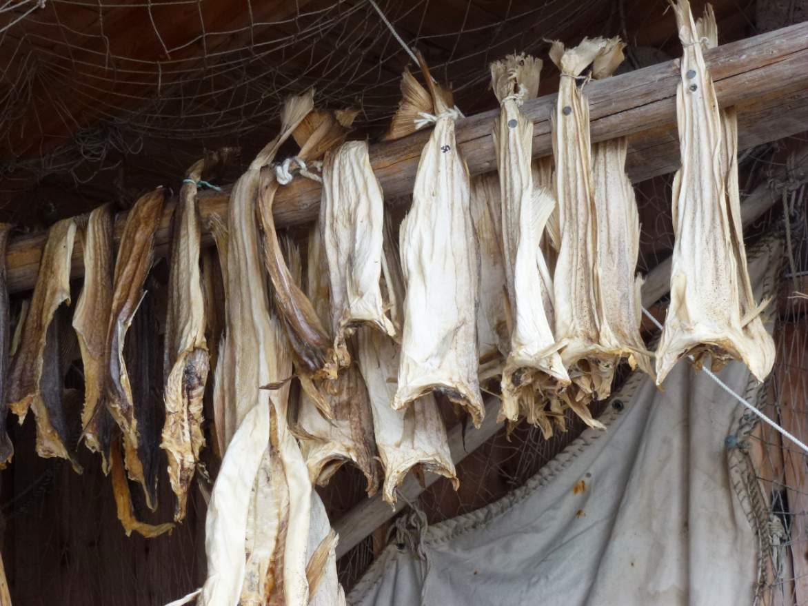 Jigsaw Puzzle | Dried fish | 20 pieces | Jigidi