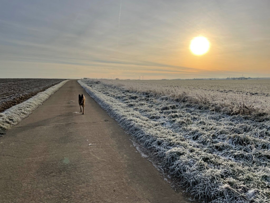 Solve 🎣 #25 Hengelen met Yoshi 🎣 jigsaw puzzle online with 88 pieces