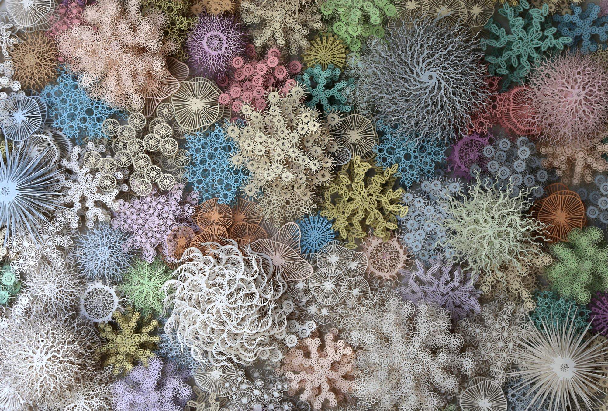 Solve The Human Microbiome Reimagined as a Cut-Paper Coral Reef jigsaw ...