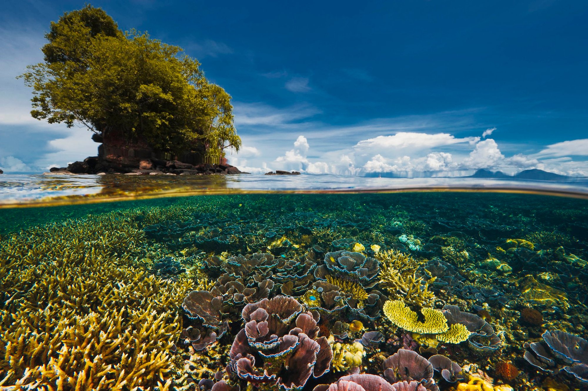 Solve Maritime Nature jigsaw puzzle online with 96 pieces